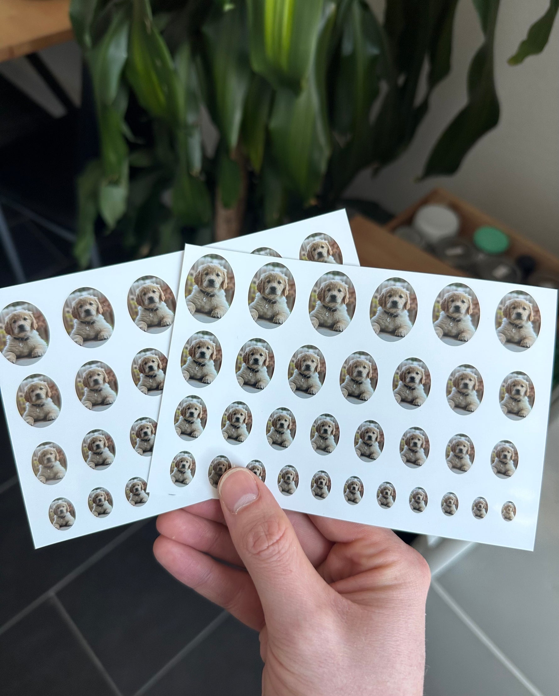 Locket Photo Prints, Locket Size Photo Print, Heart, Oval, Circle ...